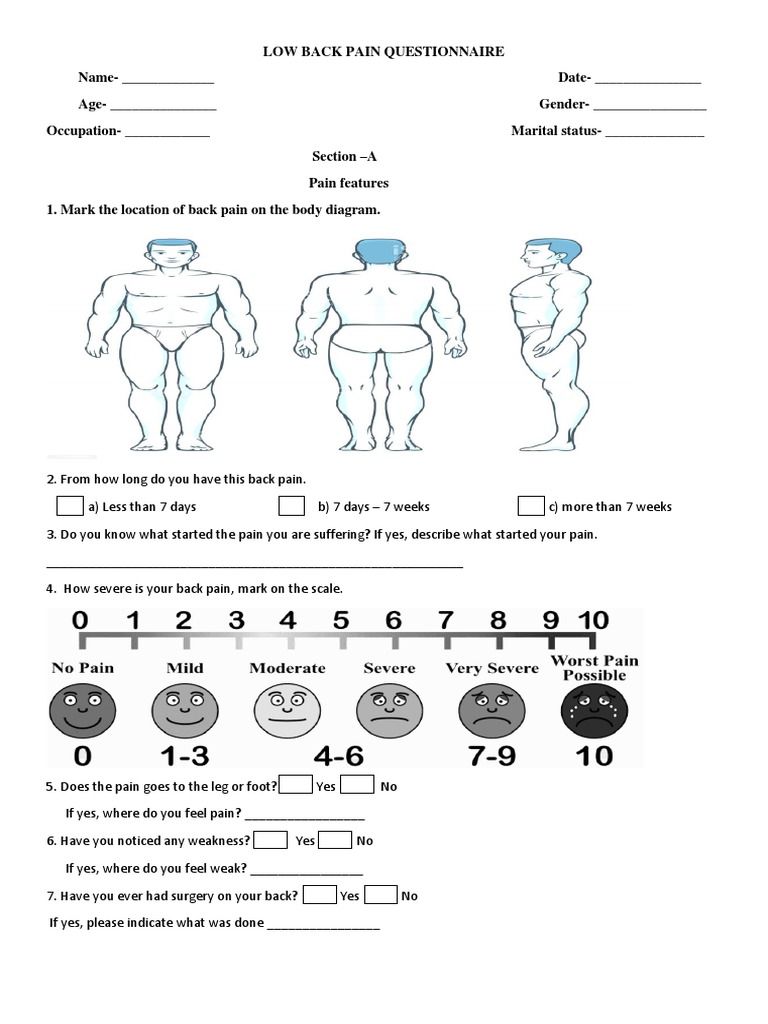 Low Back Pain Questionnaire | PDF