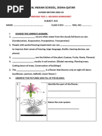 Plants Our Green Friends Worksheet - FLOWERS | PDF | Plants | Leaf