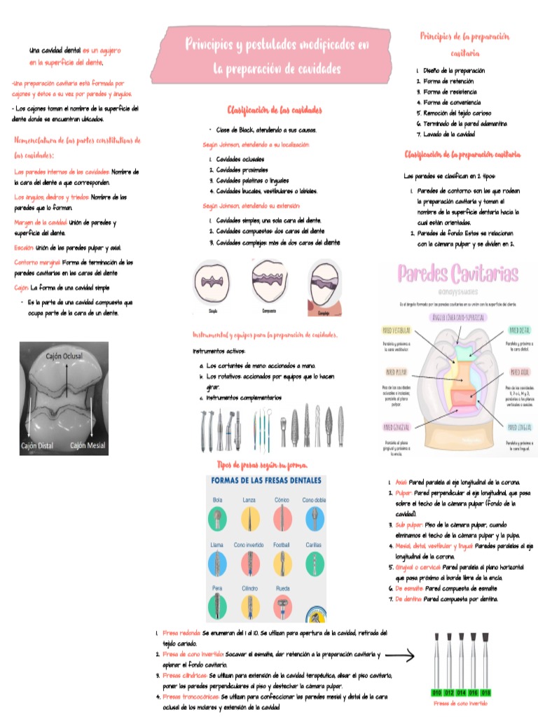 Mapa Princip y Post de Preparacion Cav Dentales Nathalia | PDF | Diente ...