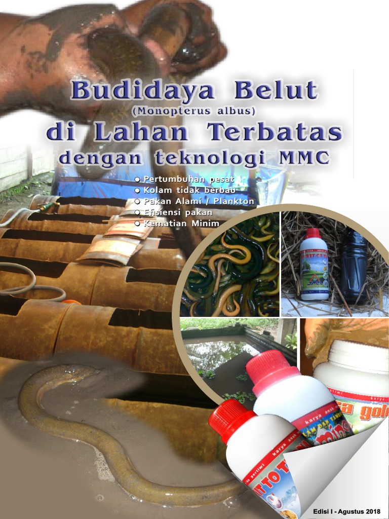 Budidaya Belut Dengan Teknologi Organik MMC-edisi I September 2018 | PDF