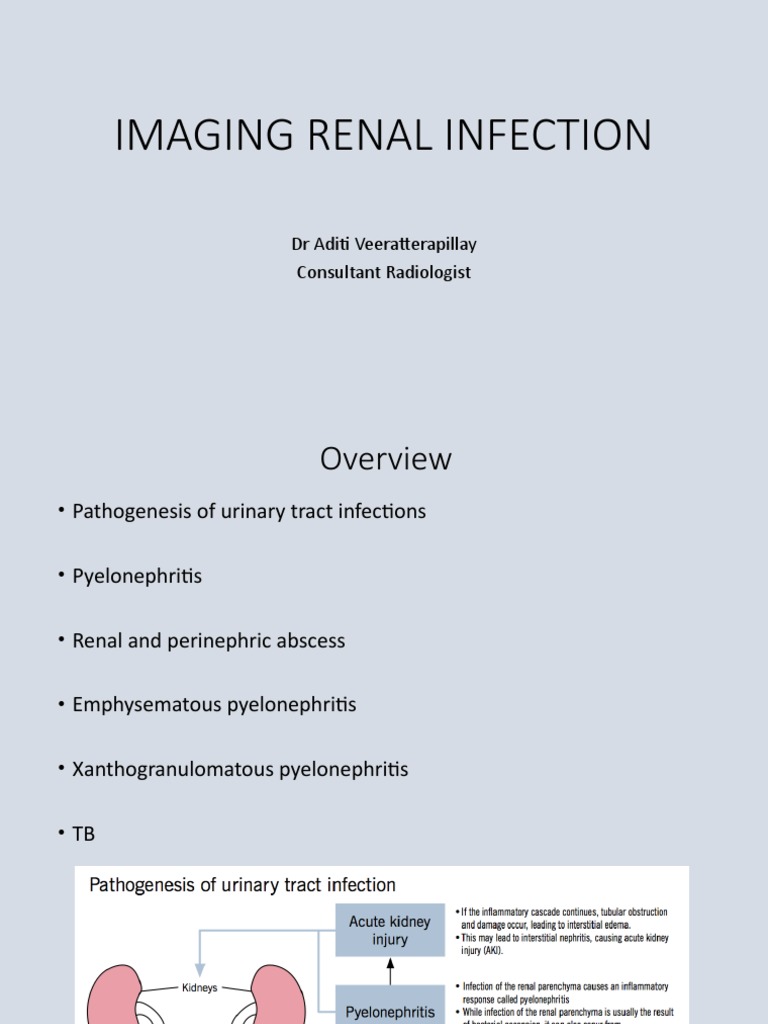 IKD 2 - Imaging Renal Infection | PDF | Medical Specialties | Clinical Medicine