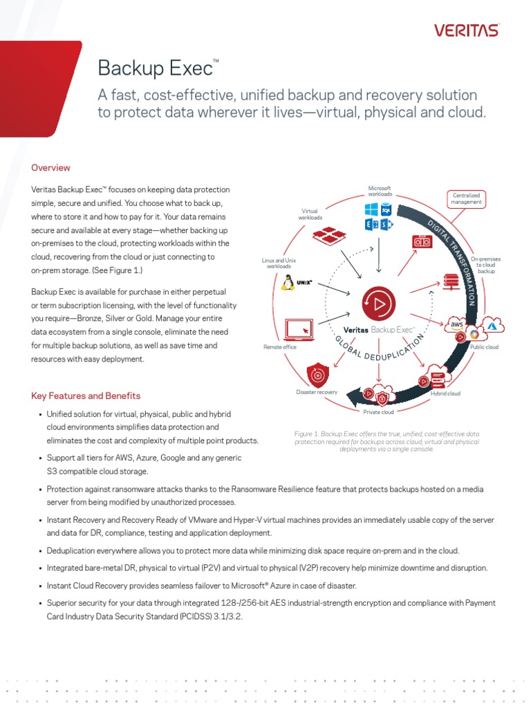 Datasheet | PDF | Backup | Cloud Computing
