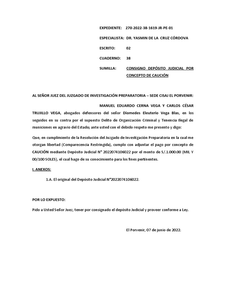 Escrito de Pago de Caución | PDF