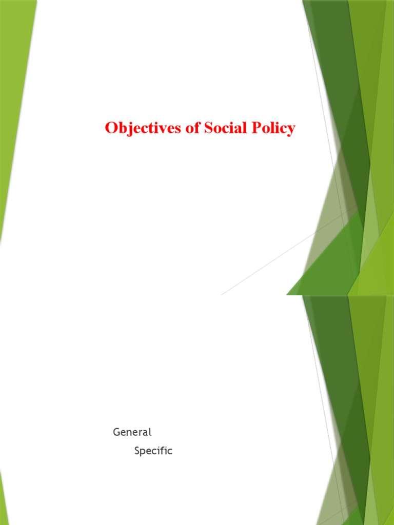 Social Policy Objectives Explained | PDF