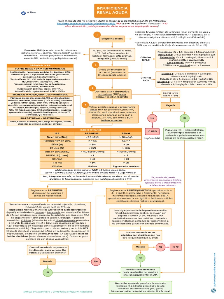 Ira 2 | PDF | Especialidades Medicas | Anatomia animal