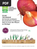 Cours 2 CULTURES MARAICHERES | PDF | Semis | Sol (pédologie)