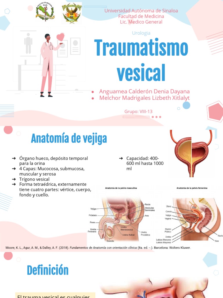 12.traumatismo Vesical | PDF | Vejiga urinaria | Lesión