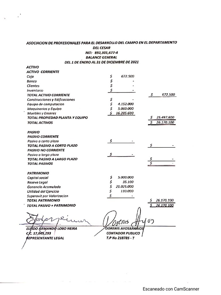 Balance General | PDF