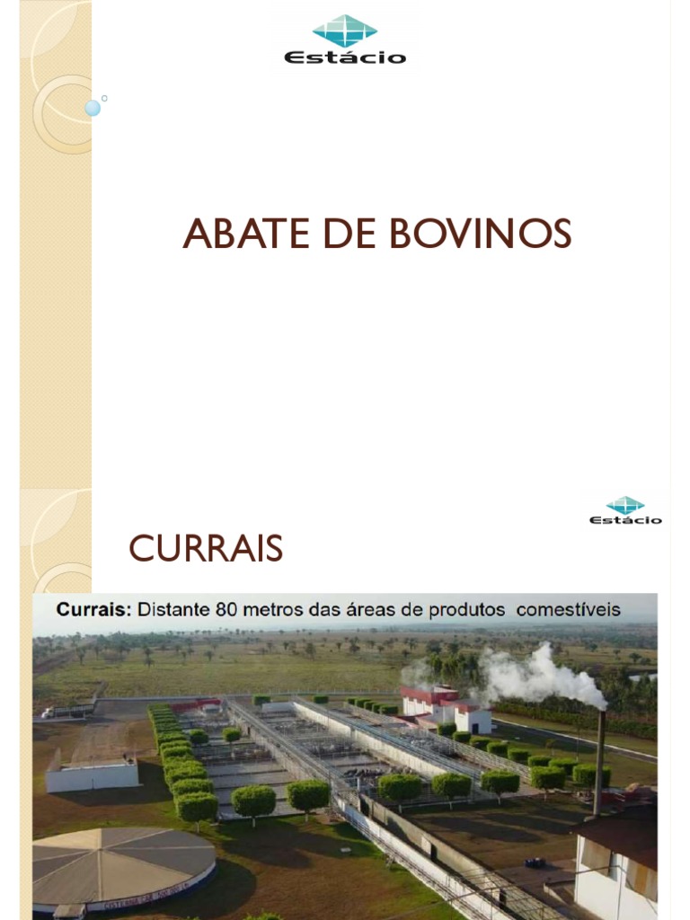 Abate de Bovino 20222 | PDF | Autópsia | Matadouro