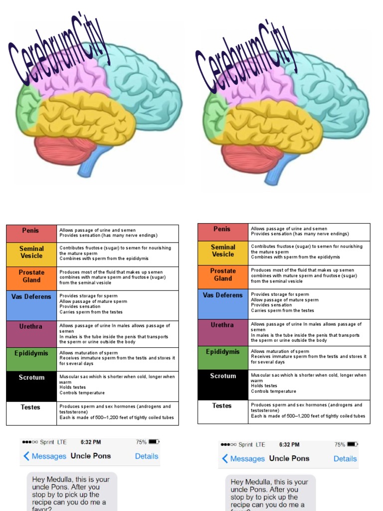 Biology Quarter 1 Unit 2 Day 7 Enrichment Escape Room Printables | PDF