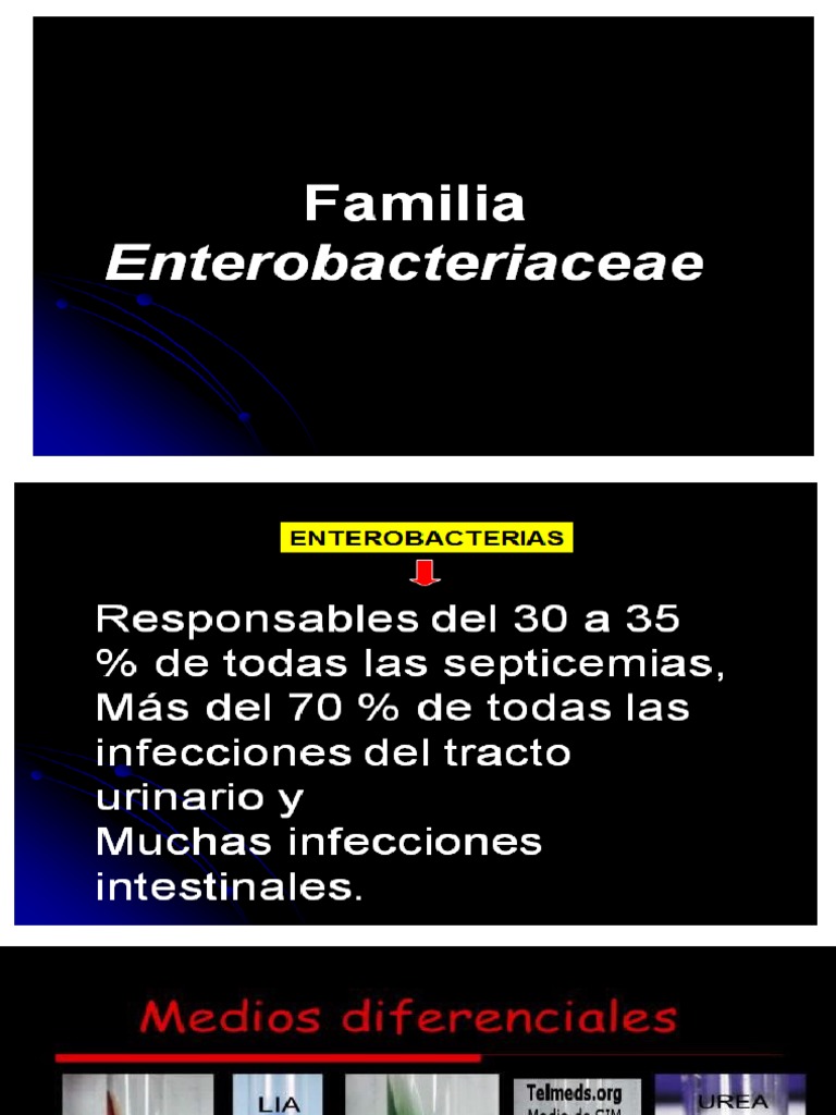 Medios Diferenciales Tsi, Lia, Citrato, Urea | PDF | Fermentación | Lisina