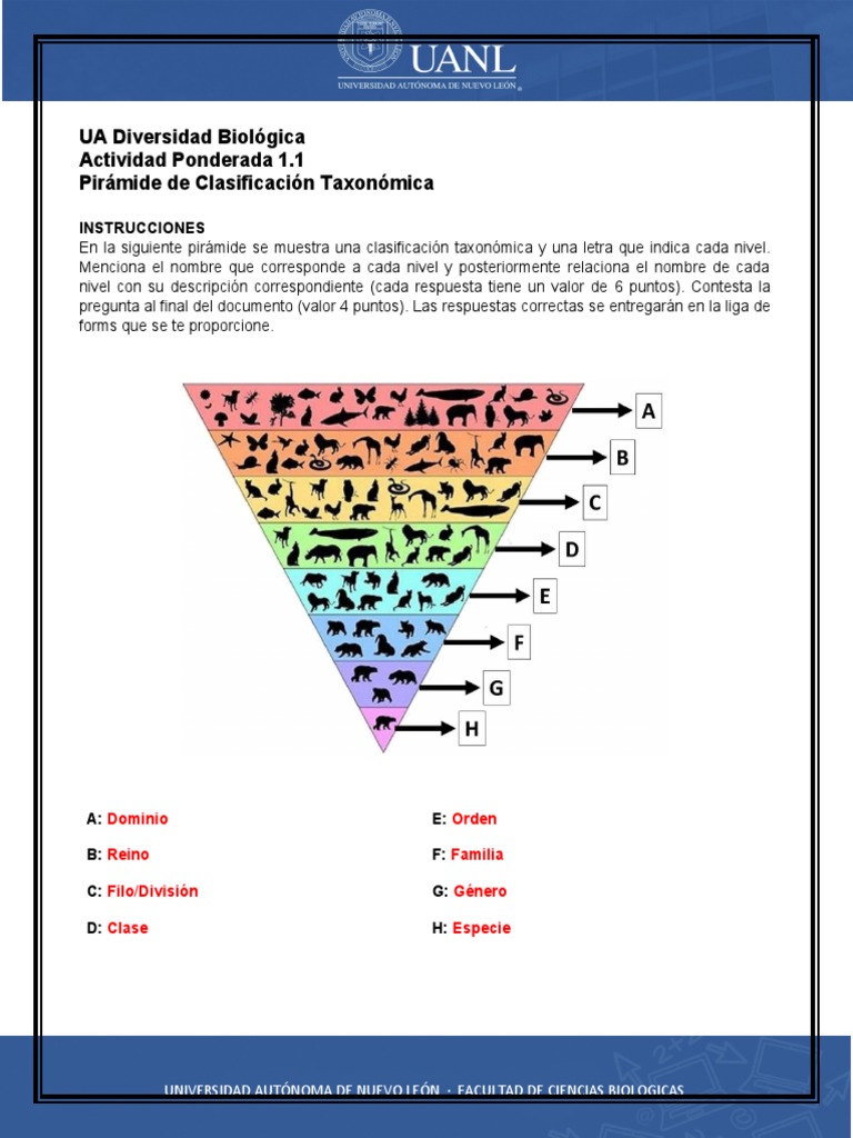 Actividad 1 DB | PDF | Taxonomía (biología) | Especies