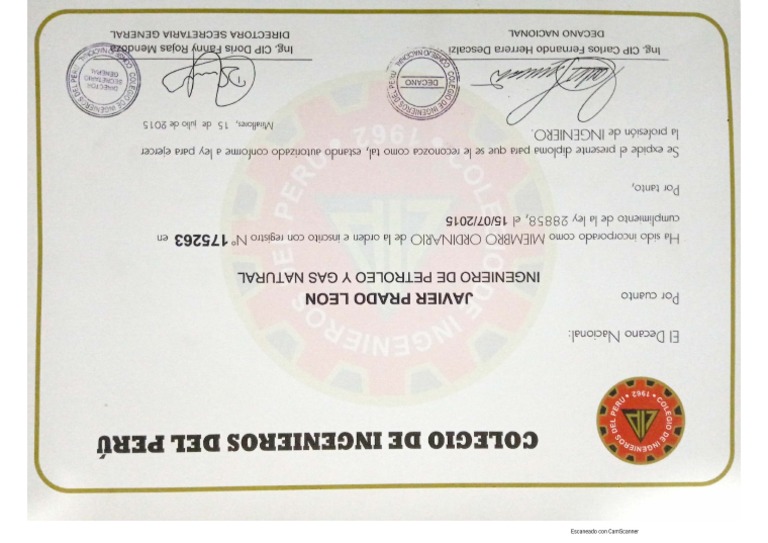 DIPLOMA CIP ING. JAVIER PRADO LEON (1) | PDF