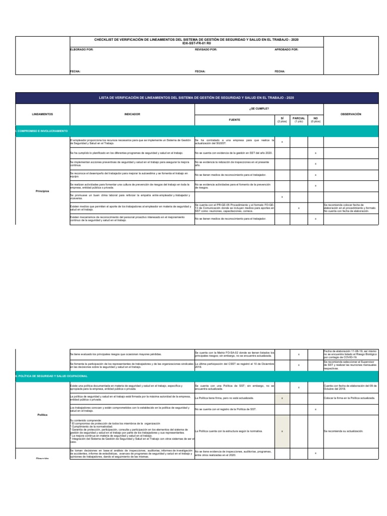 IDX-SST-FR-01 Formato Diagnóstico Línea Base | PDF | Outsourcing ...