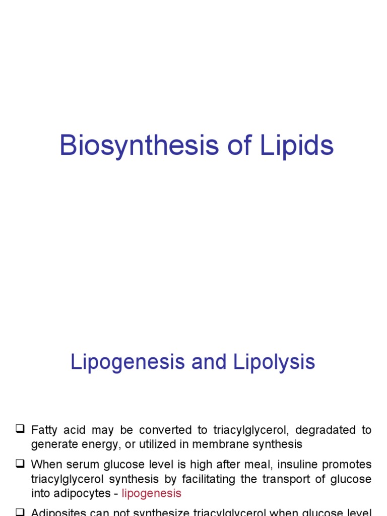 Biosintesis Lipid | PDF | Biosynthesis | Macromolecules