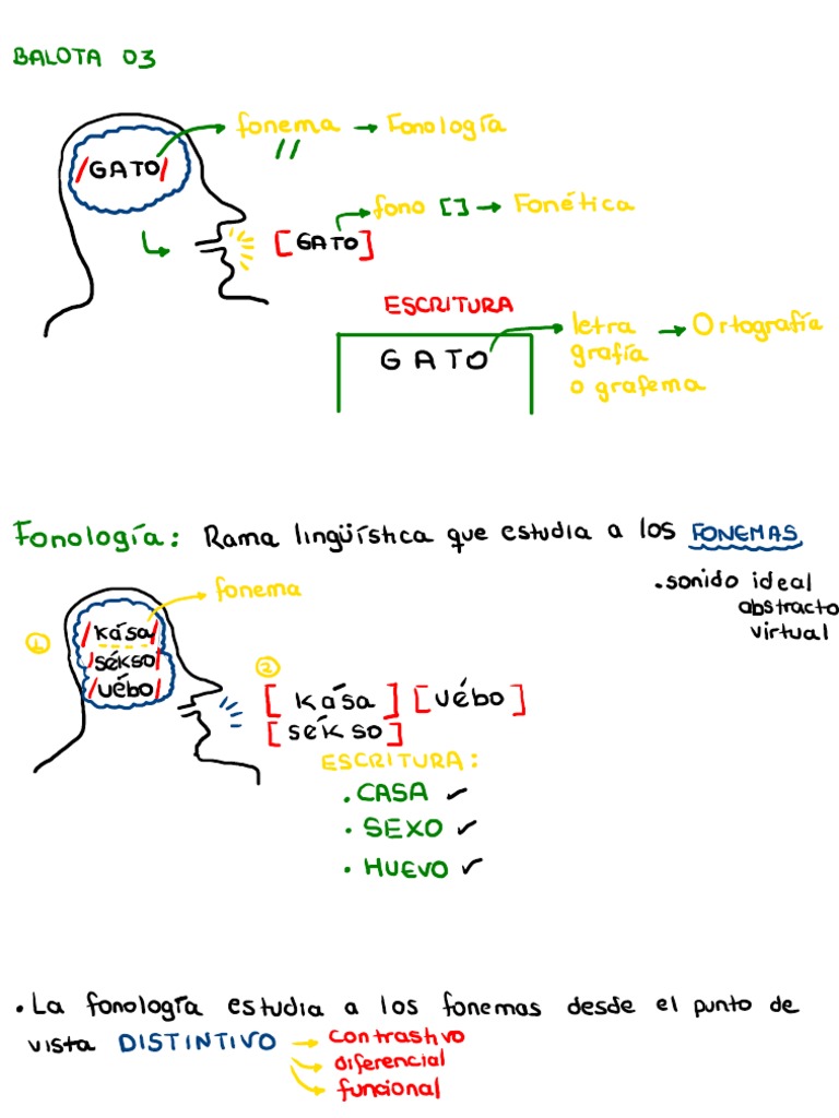 Fonología Final - Grupo D - Pre de San Jerónimo - Ciclo 2022 III | PDF