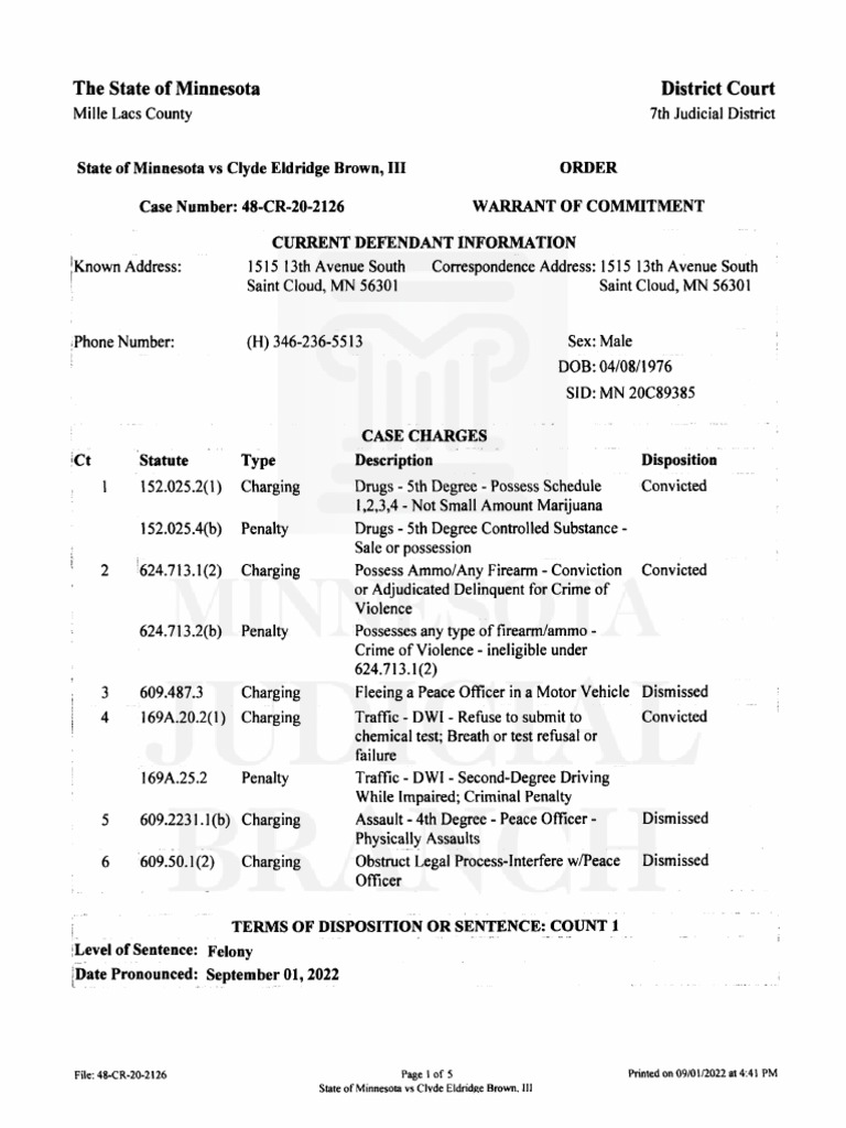 Brown Sentencing Order | PDF | Driving Under The Influence | United ...
