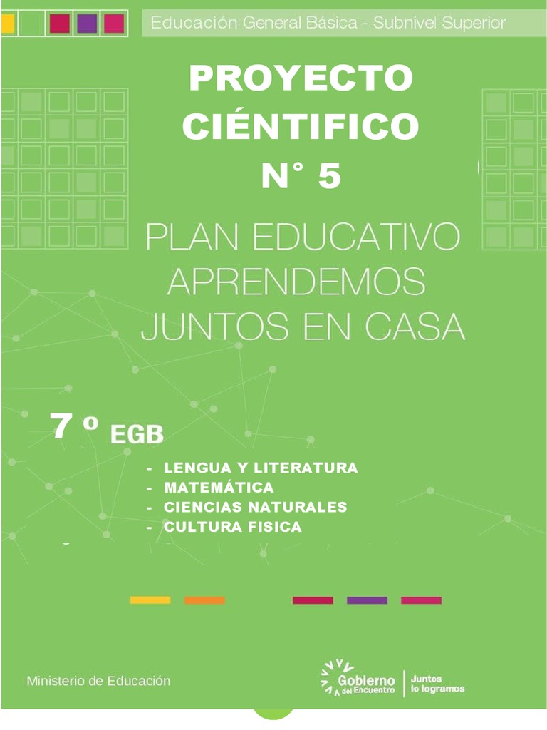 Proyecto 5 - 7mo Cientifico | PDF | Sistema reproductivo