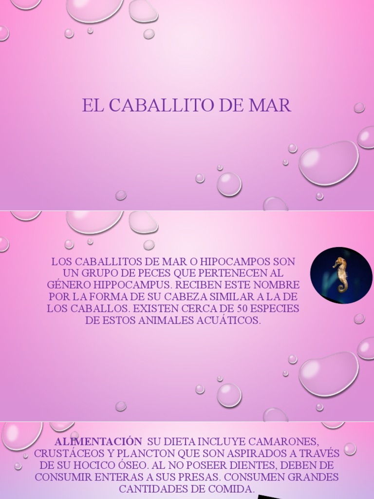 Fascinante Vida del Caballito de Mar | PDF | Hogar, jardinería y ...