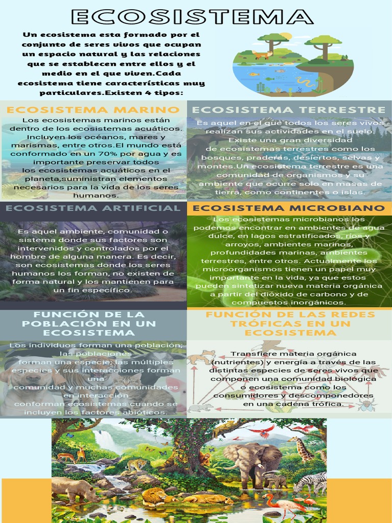 Ecosistema Marino | Descargar gratis PDF | Ecosistema | Suelo
