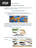 Detailed Lesson Plan in Science 5 | PDF | Invertebrate | Vertebrates