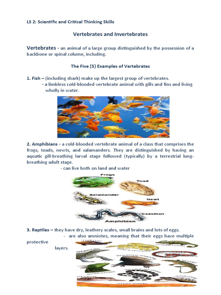 LS 2 Sci - and Cri - Thinking Skills | PDF | Invertebrate | Vertebrates