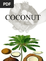 Coconut Shell Handicrafts: Art & Uses | PDF | Coconut | Trees