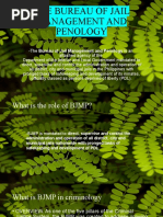 Rank Equivalent PNP BFP BJMP Armed Forces | PDF