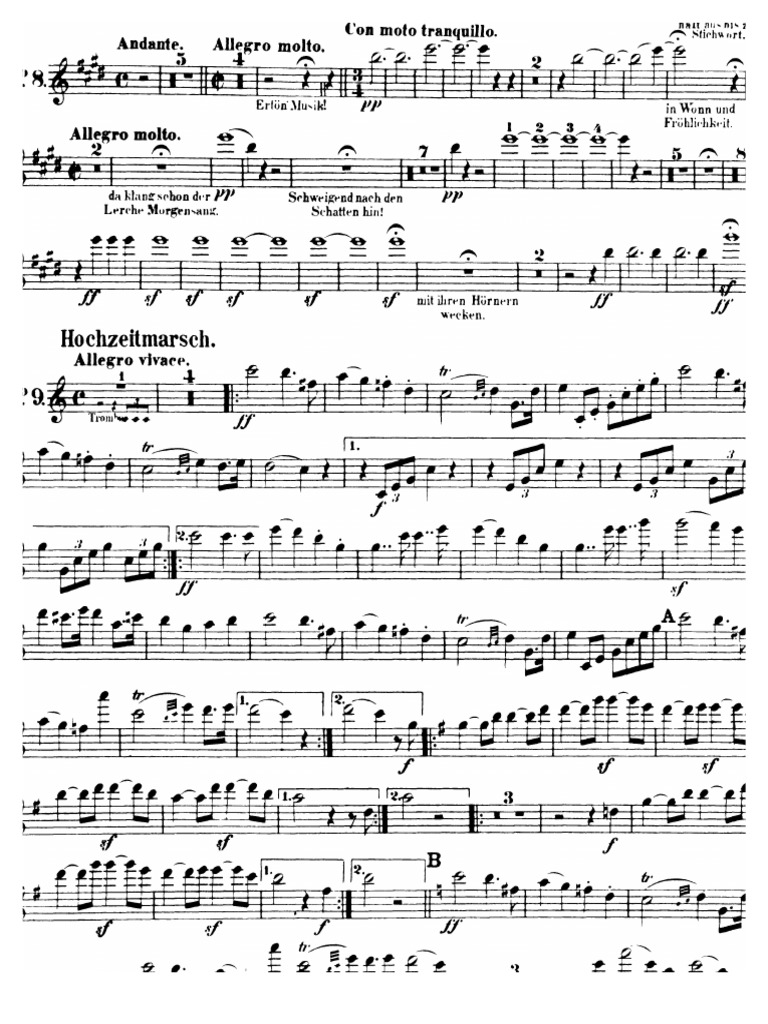 Flauta 1 Marcha | PDF