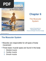 Exercise 2 Organ System Overview: BSN-1C | PDF | Human Body | Lymphatic ...