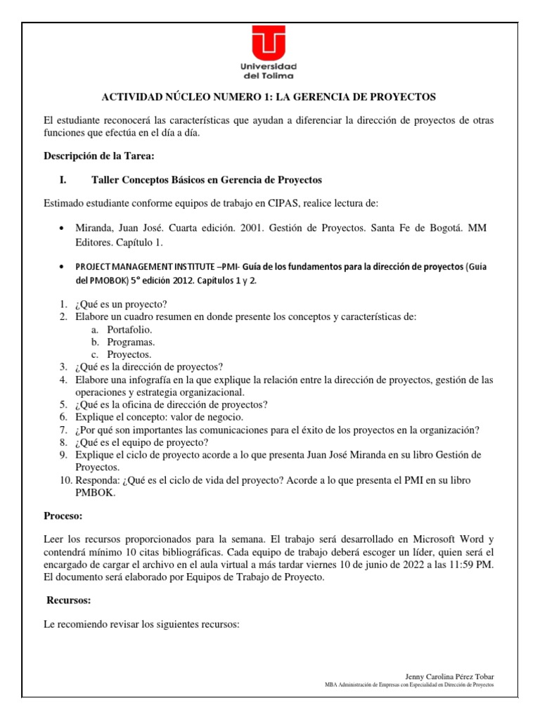 Actividad - Núcleo - Número - 1 - La - Gerencia - de - Proyectos | PDF ...