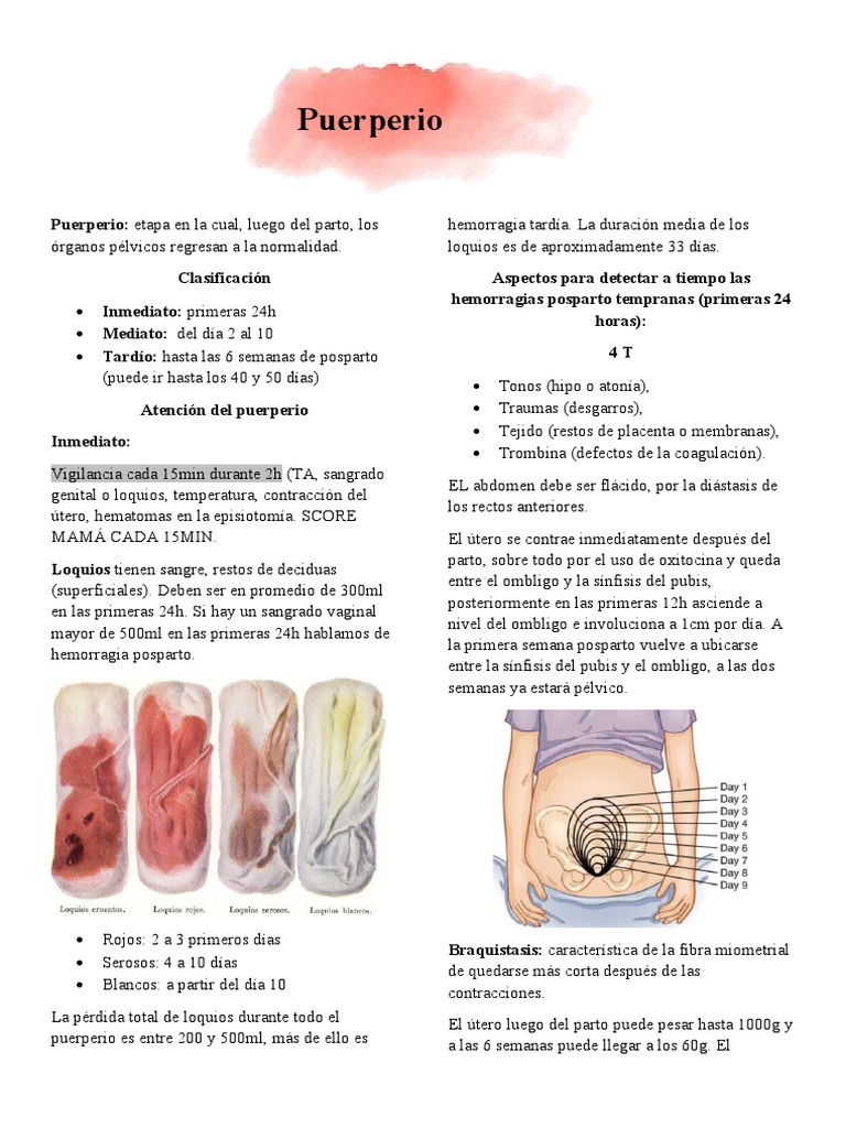 Loquios y entuertos en el puerperio | PDF | Periodo posparto | Parto