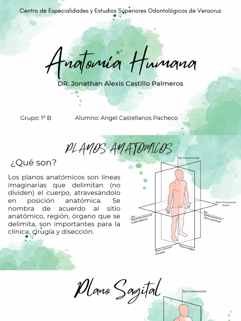 Anatomia | PDF | Anatomía | Términos anatómicos de ubicación