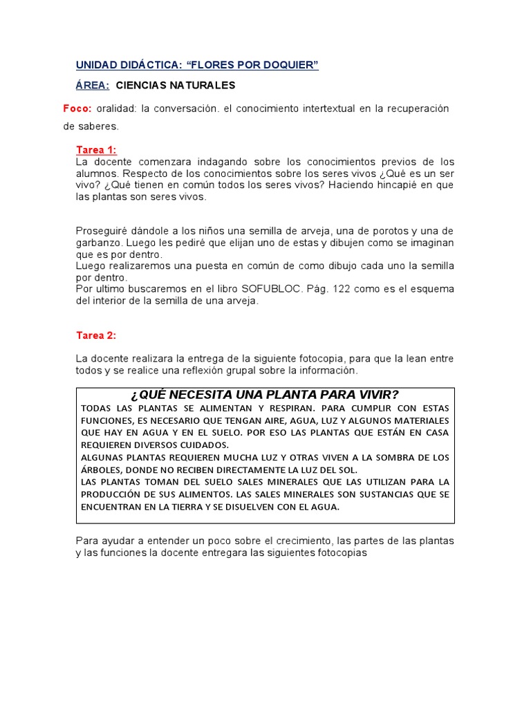 Crecimiento y necesidades de las plantas: una unidad didáctica enfocada ...