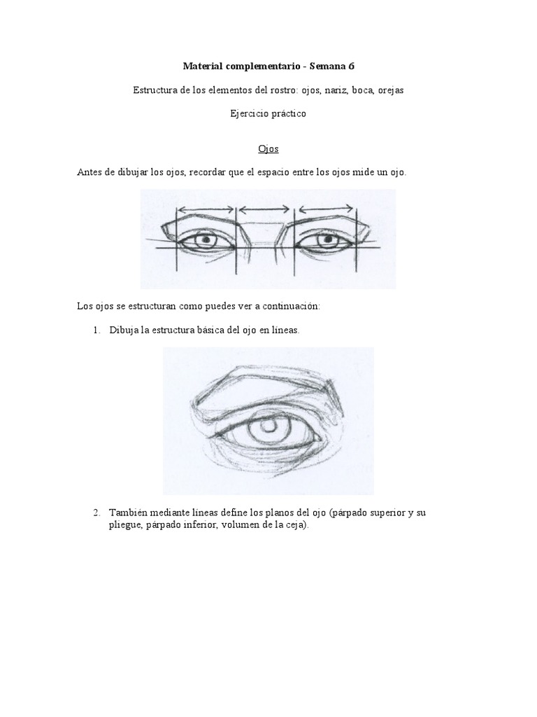 Material Complementario S6 | PDF | Ojo