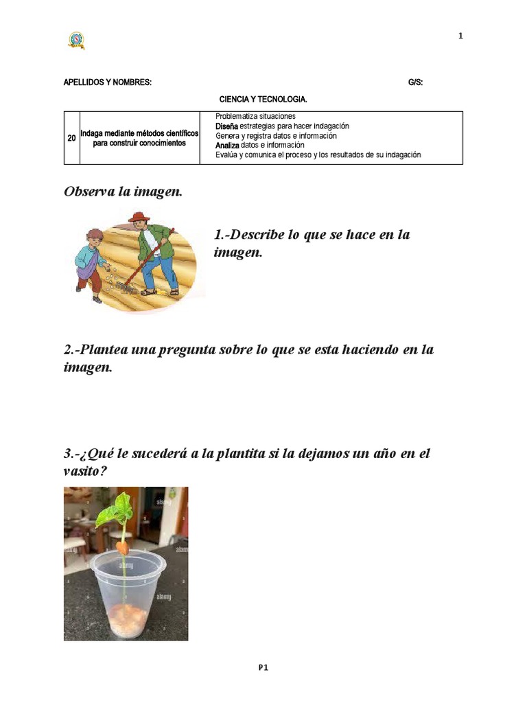 Observa La Imagen. 1.-Describe Lo Que Se Hace en La Imagen | PDF ...