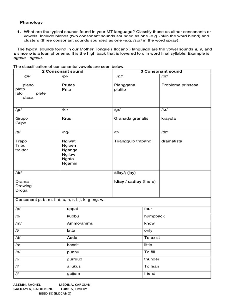 Components of Language. Learning Activity 2 | PDF