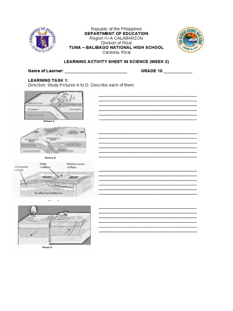 Grade 10 Science Learning Activity Sheet: Using Oreo Cookies to Model ...