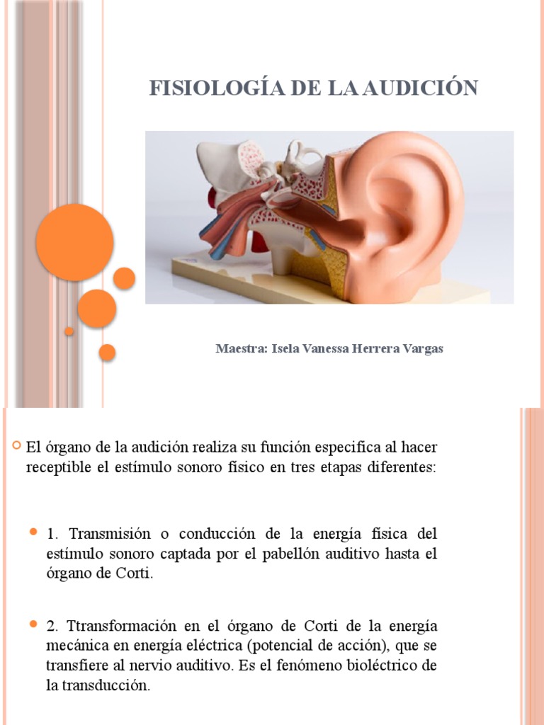 Fisiología de La Audición | PDF | Sonido | Oído