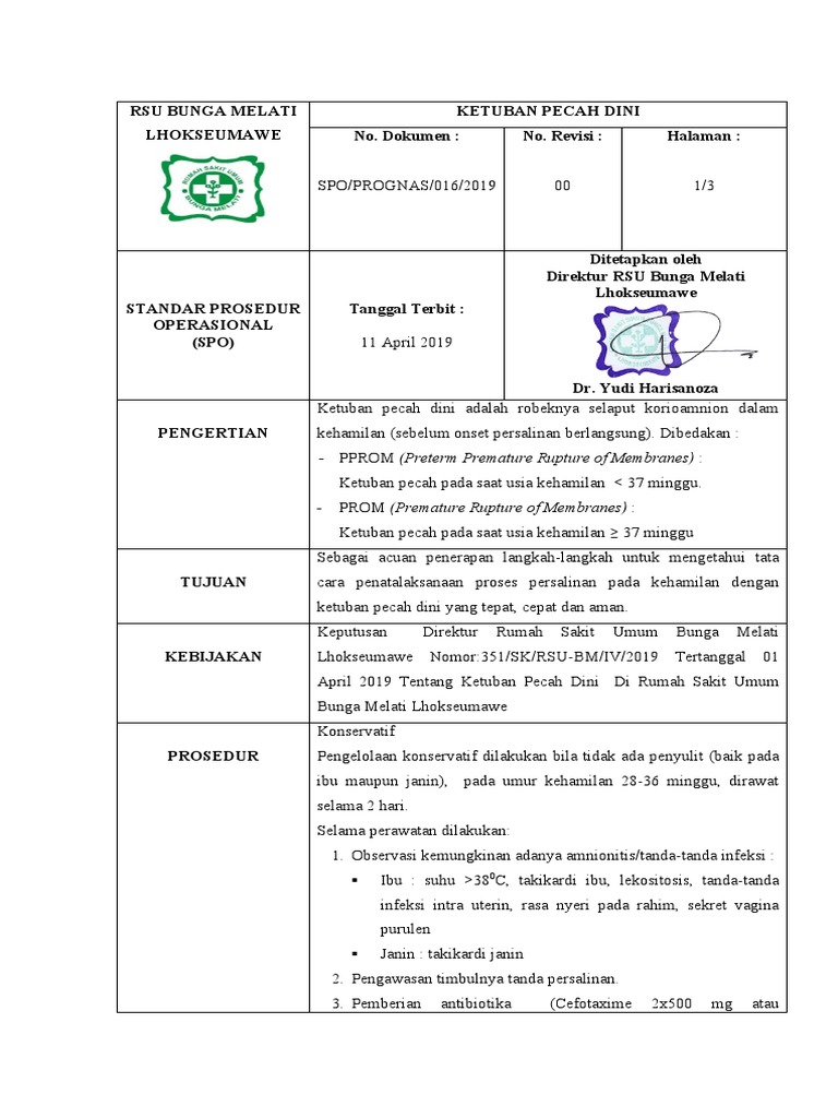 Spo Ketuban Pecah Dini | PDF