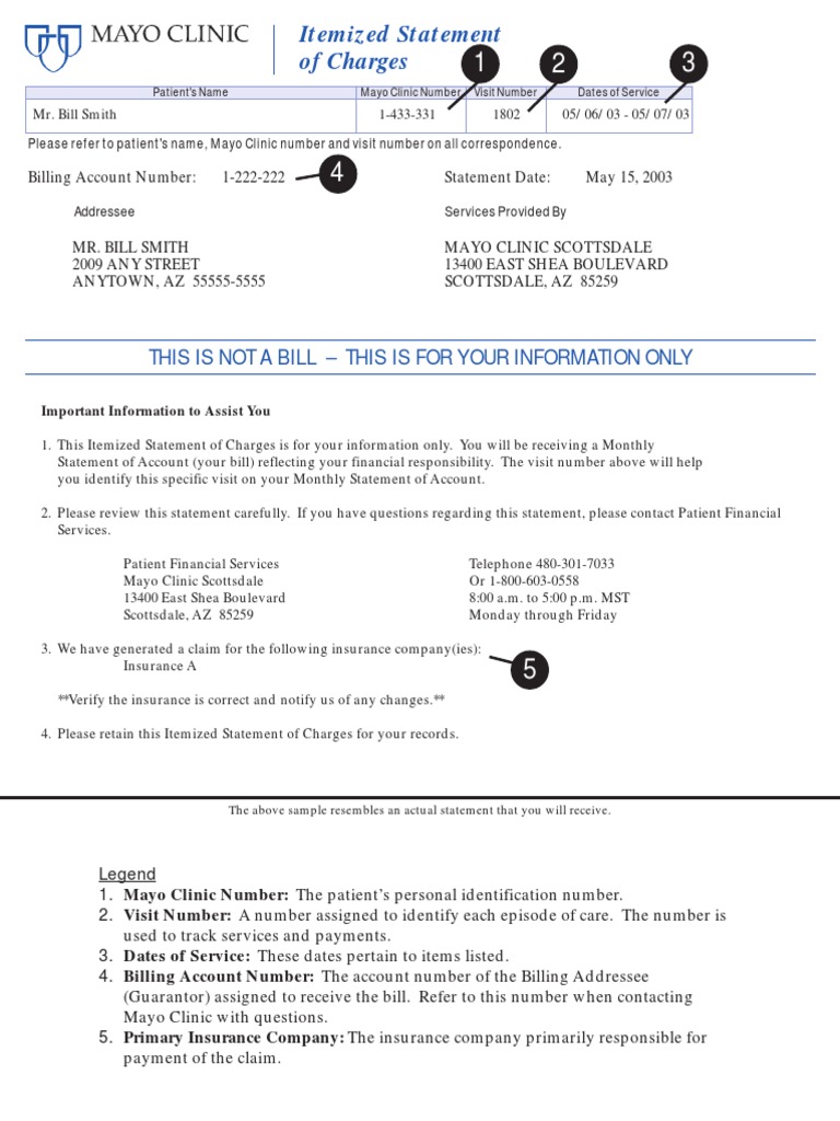 Itemized Sample Billing Statement | PDF | Medicine | Health Care