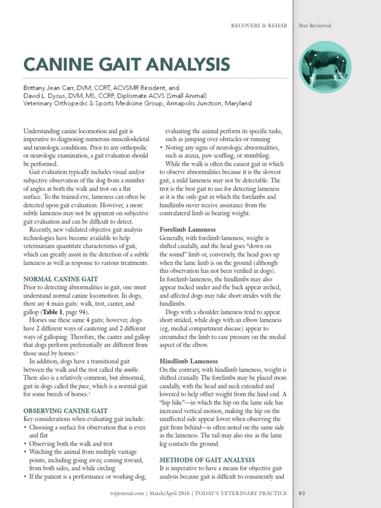 2016 0304 Rehab Gait Analysis | PDF | Horse Gait | Terrestrial Locomotion