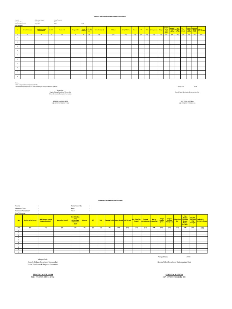 FORMAT ePPGBM 2018-1 | PDF