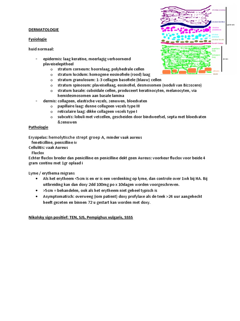 Derma To Logie | PDF