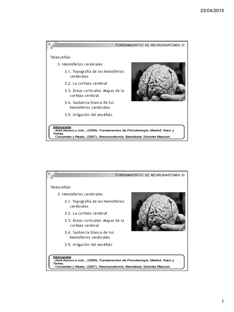Bloque Tematico III, HEMISFERIOS CEREBRALES (Versión para Imprimir) | PDF | Cerebro | Corteza ...