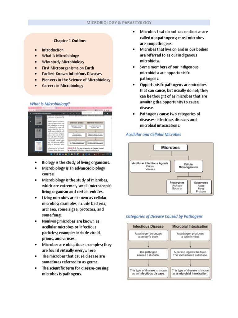 Chapter 1 3 Pdf Microorganism Microbiology