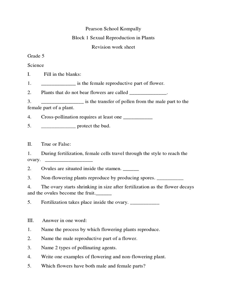G5-Science HYE Compiled Revision Worksheet With Answer Key | PDF ...