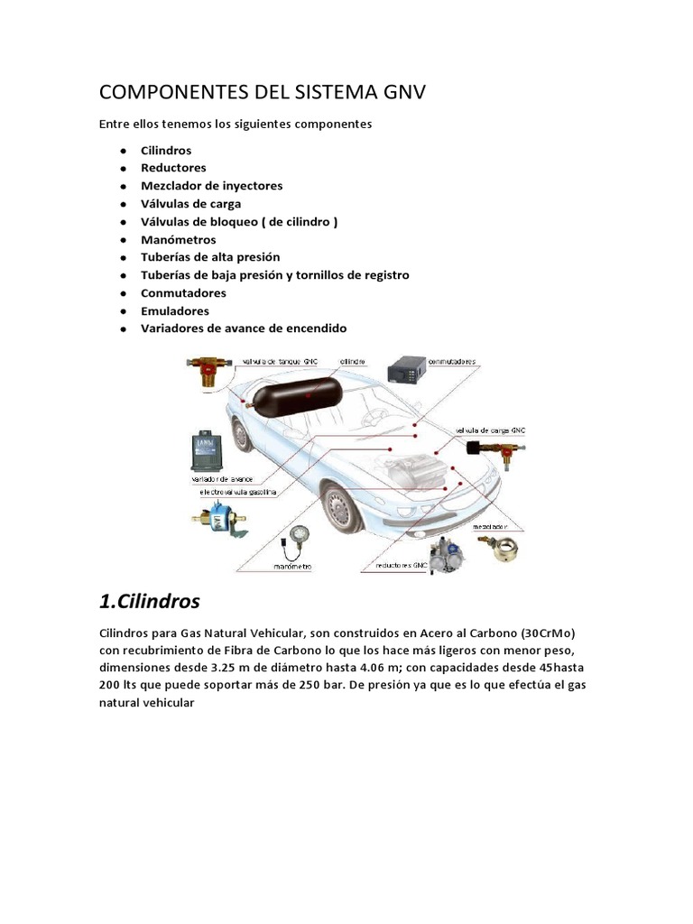 Componentes del Sistema GNV | PDF | Inyección de combustible | Gasolina