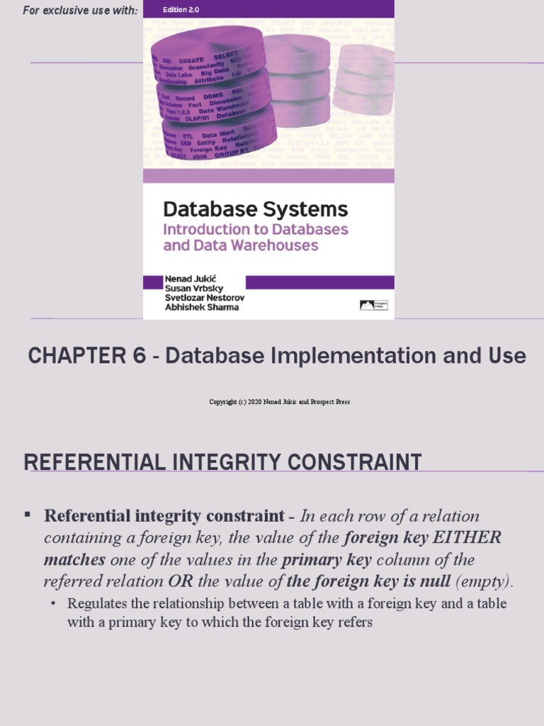 Chapter 6 - Database Implementation and Use | PDF