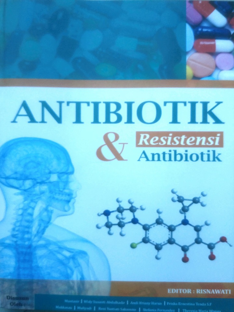 Antibiotik & Resistensi: Konsep & Mekanisme | PDF